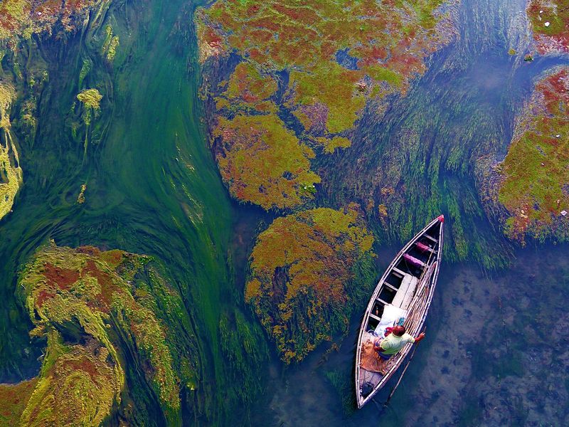 UPPER VIEW OF A MOSSY RIVER | Smithsonian Photo Contest | Smithsonian ...