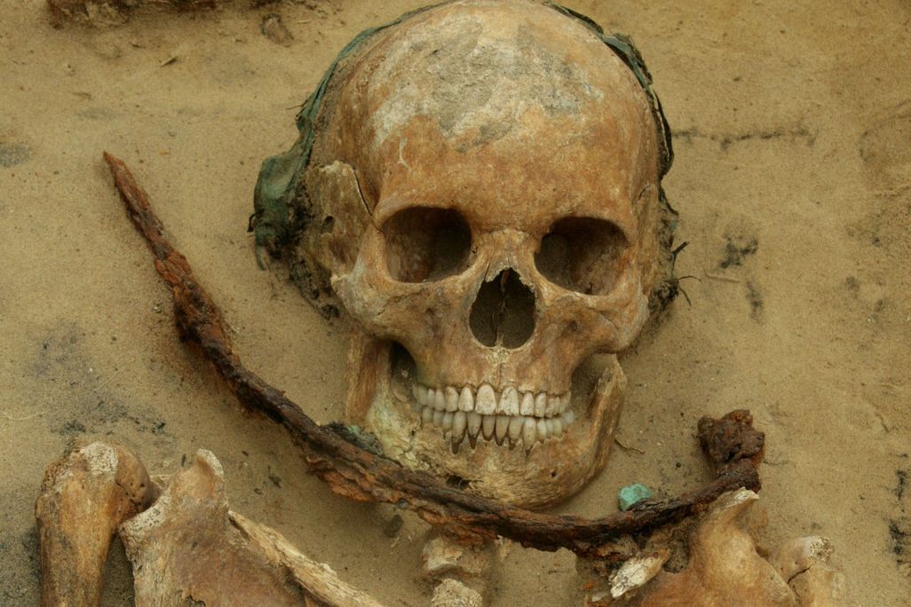 vampire skeleton poland