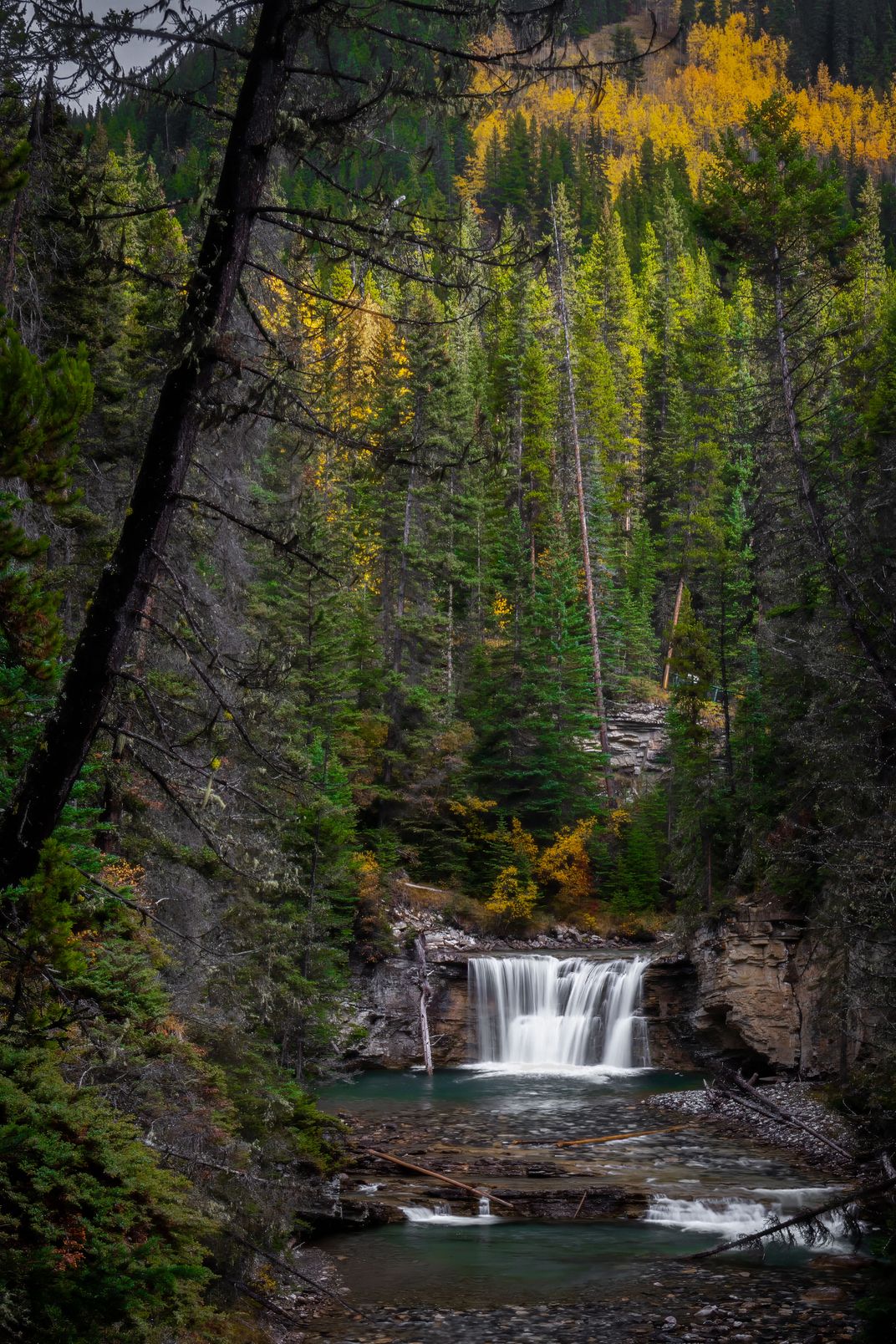 Johnston Creek Falls and Fall Colors | Smithsonian Photo Contest ...