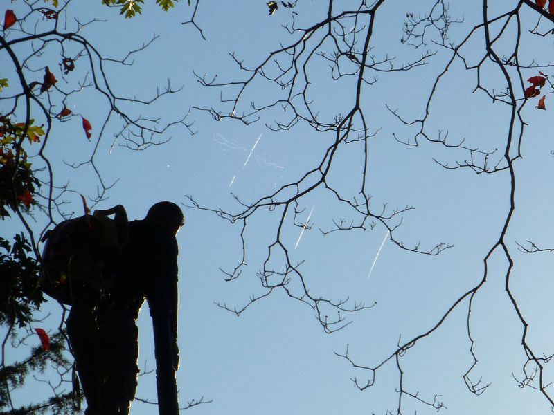 The Autumn Soldier | Smithsonian Photo Contest | Smithsonian Magazine