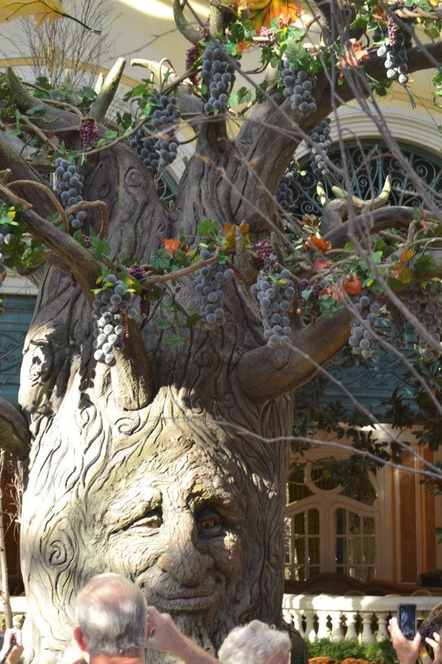talking tree at the Bellagio | Smithsonian Photo Contest | Smithsonian ...