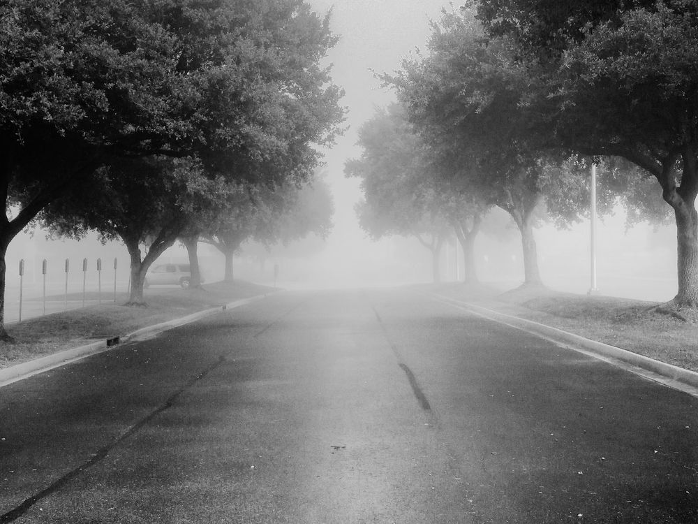 Fogged In | Smithsonian Photo Contest | Smithsonian Magazine