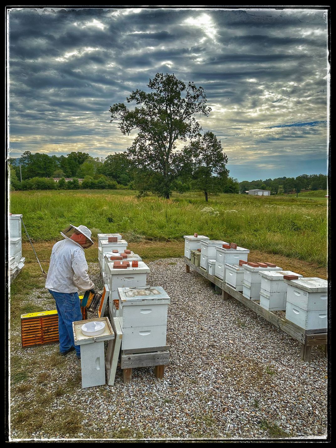 Hot Springs Beekeeper | Smithsonian Photo Contest | Smithsonian Magazine