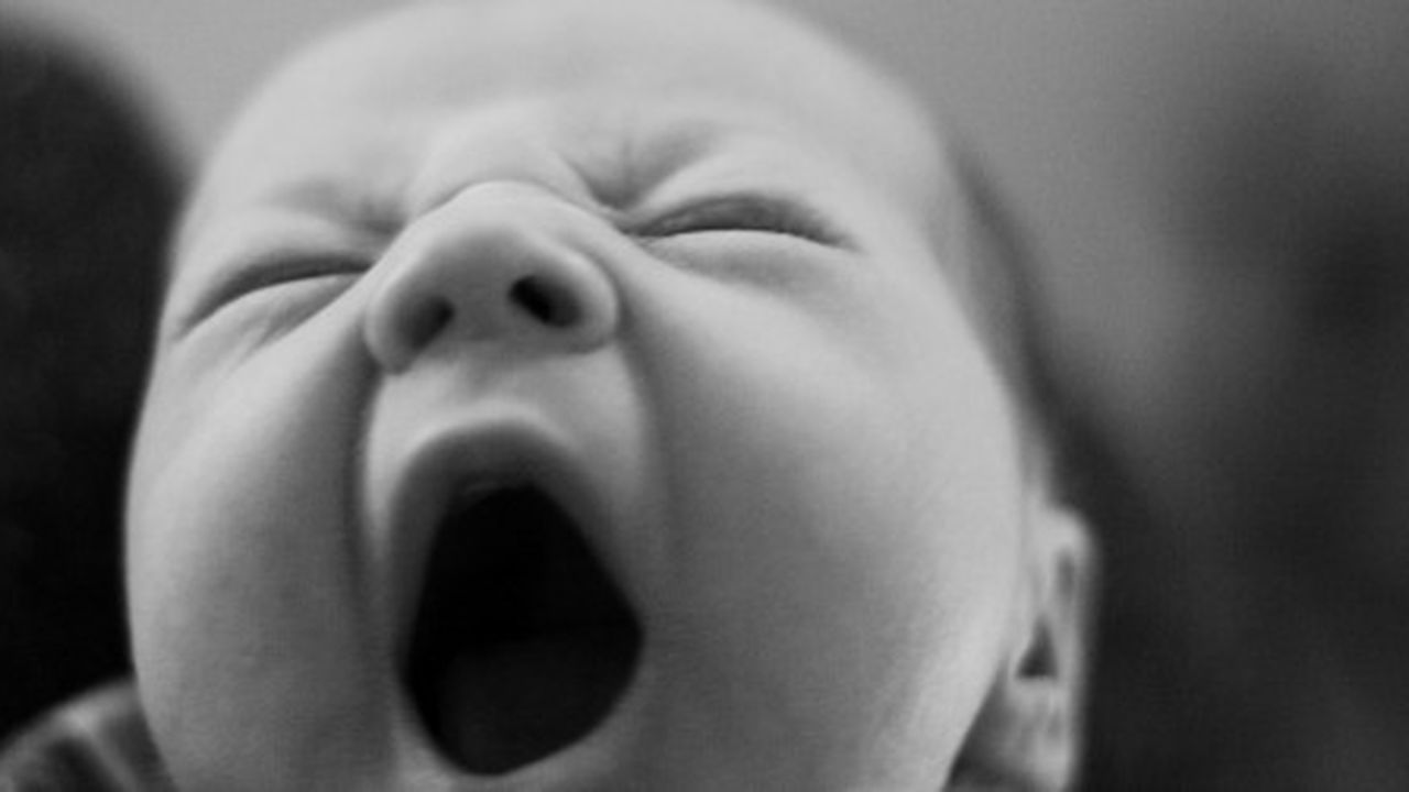 Why Is A Yawn Catchy