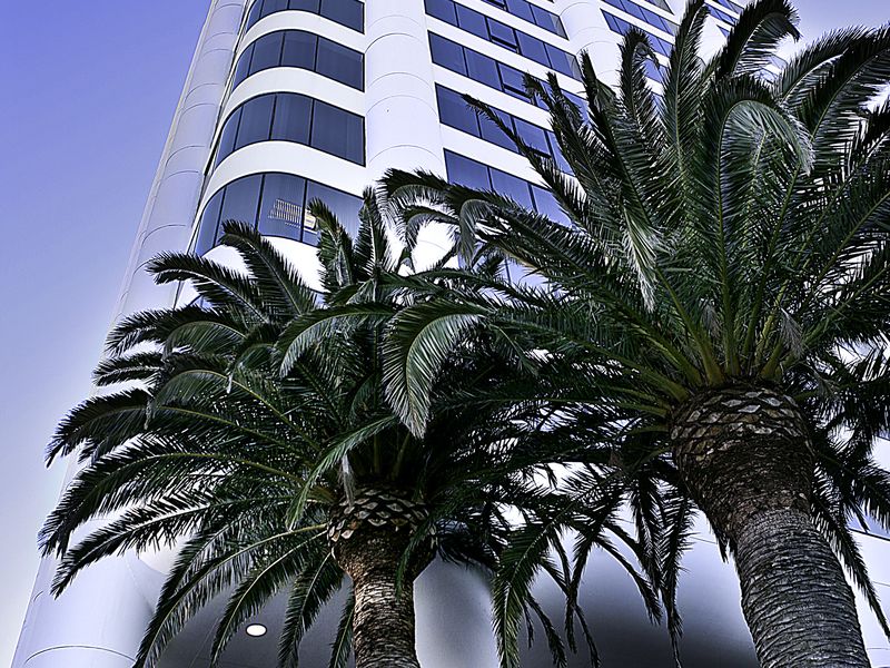 California High Rise | Smithsonian Photo Contest | Smithsonian Magazine