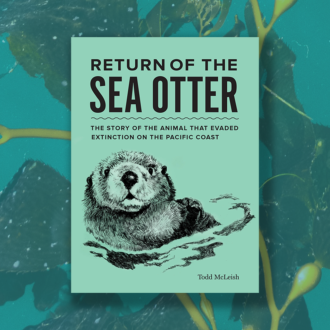 A Raft Of Otters Chronicle Books
