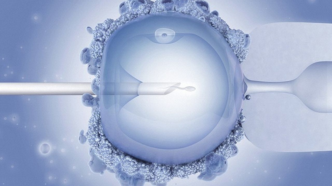 What Is Test Tube Fertilization