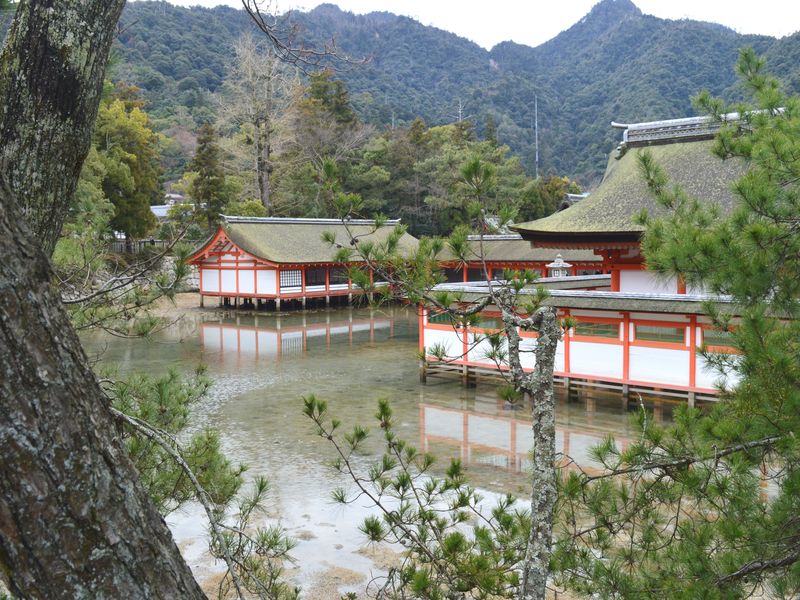 Miyajima Island, Hiroshima Bay, Japan | Smithsonian Photo Contest ...