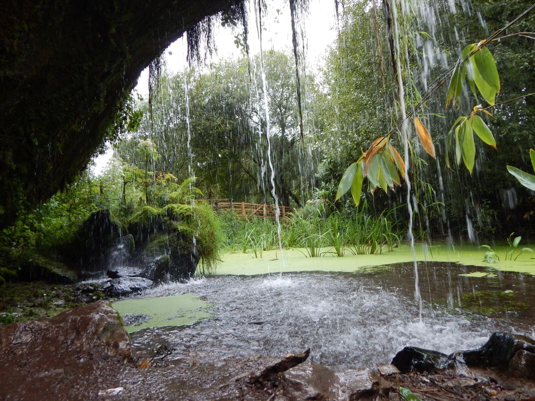 Wishing Waterfall | Smithsonian Photo Contest | Smithsonian Magazine
