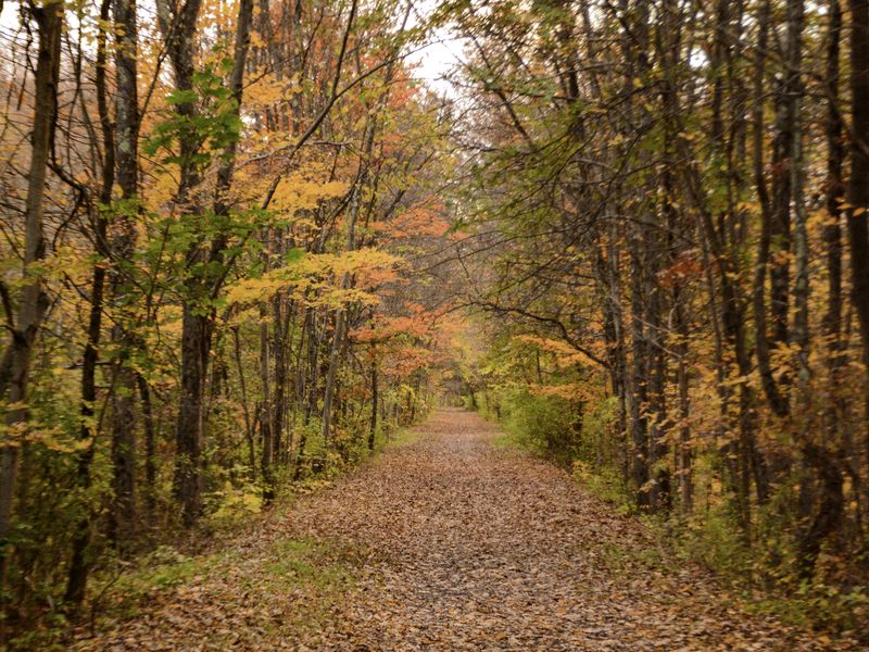 An endless path | Smithsonian Photo Contest | Smithsonian Magazine