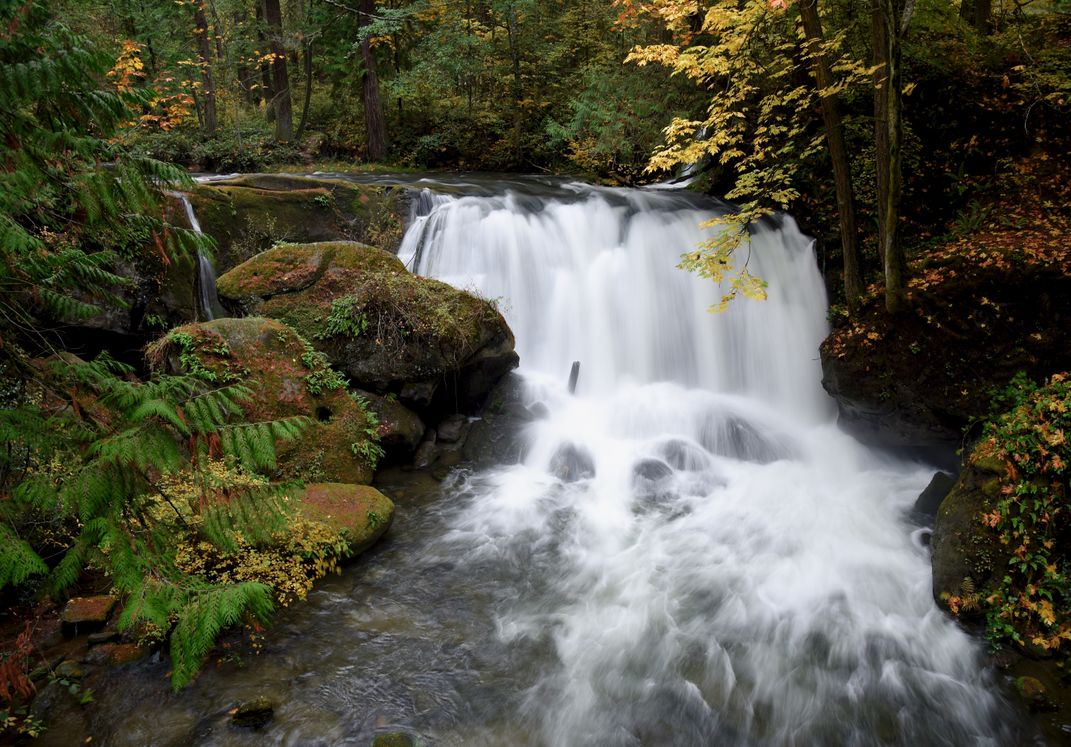 Fall day hike through Whatcom Falls Park | Smithsonian Photo Contest ...