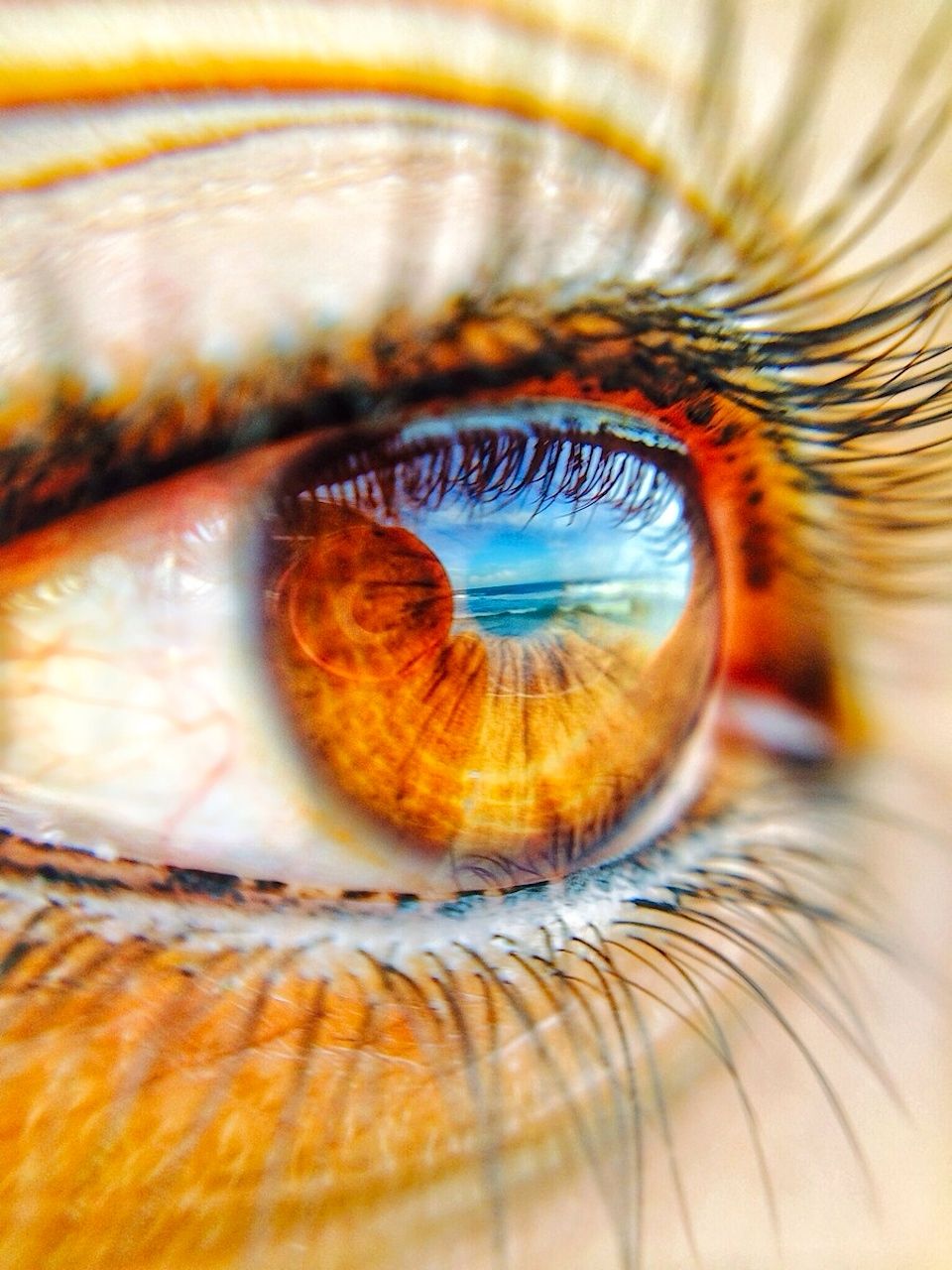 Eyes are the window to the world. E.g. if you look through a negative ...