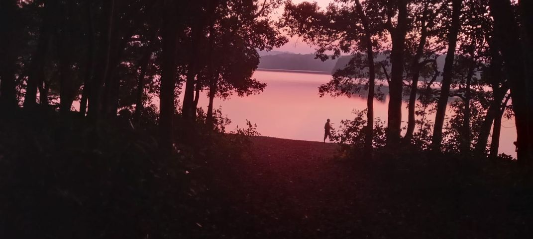 Beauty of rays | Smithsonian Photo Contest | Smithsonian Magazine