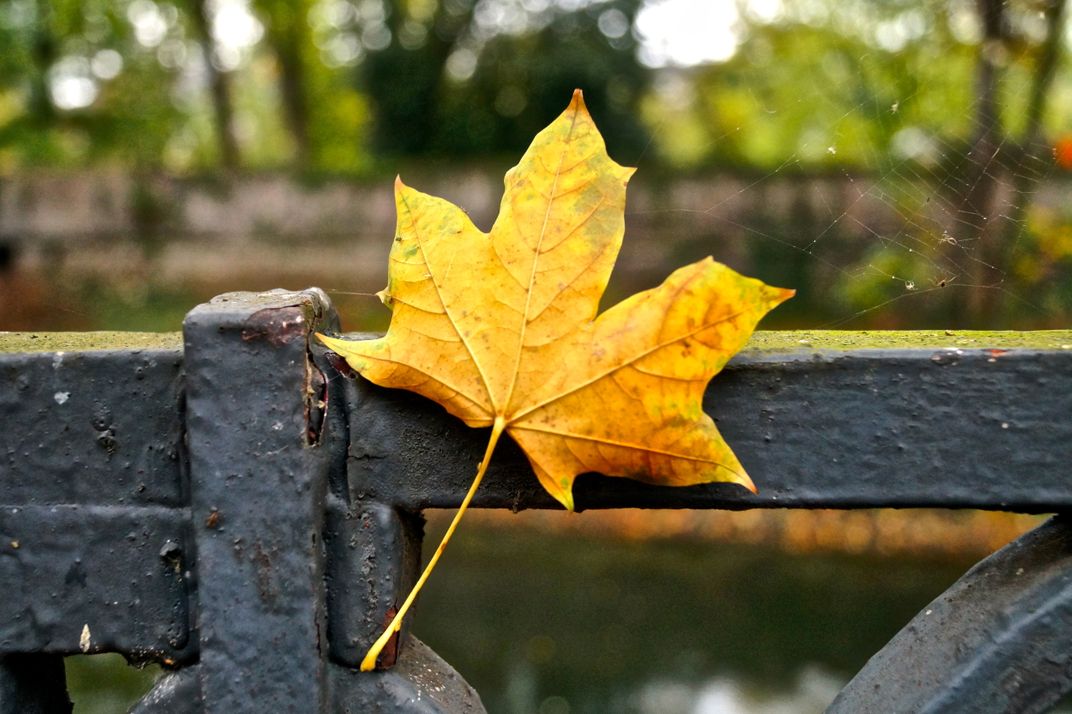 Defying gravity | Smithsonian Photo Contest | Smithsonian Magazine