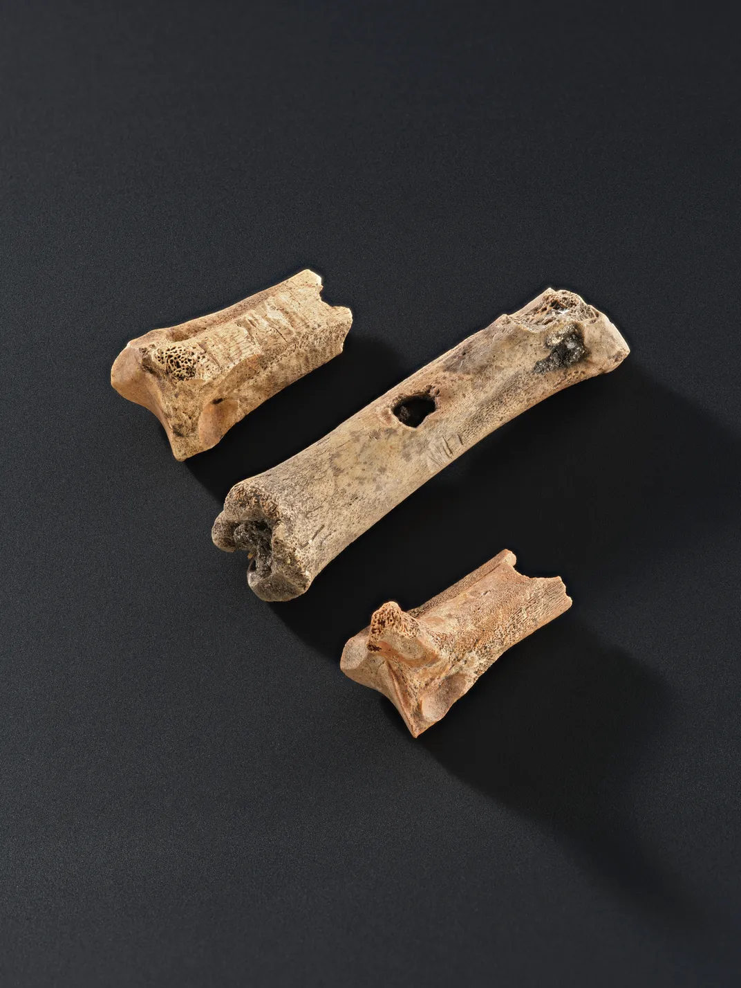 A Rare Medieval Hair-Styling Tool Was Found at Scotland’s Eilean Donan ...