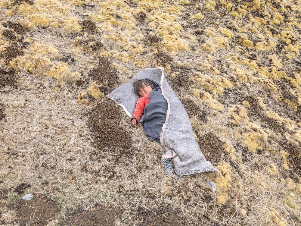 Sleeping on the Farm | Smithsonian Photo Contest | Smithsonian Magazine
