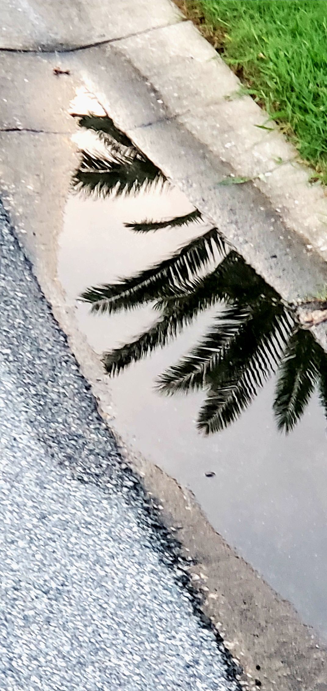 Reflection after storm | Smithsonian Photo Contest | Smithsonian Magazine
