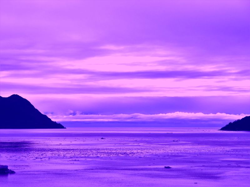 Purple Passage | Smithsonian Photo Contest | Smithsonian Magazine