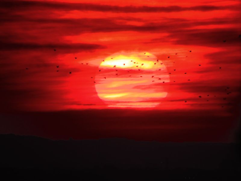 Hazy sunrise | Smithsonian Photo Contest | Smithsonian Magazine
