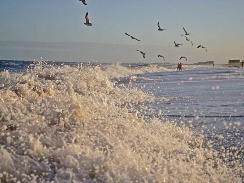 Beach Shot | Smithsonian Photo Contest | Smithsonian Magazine
