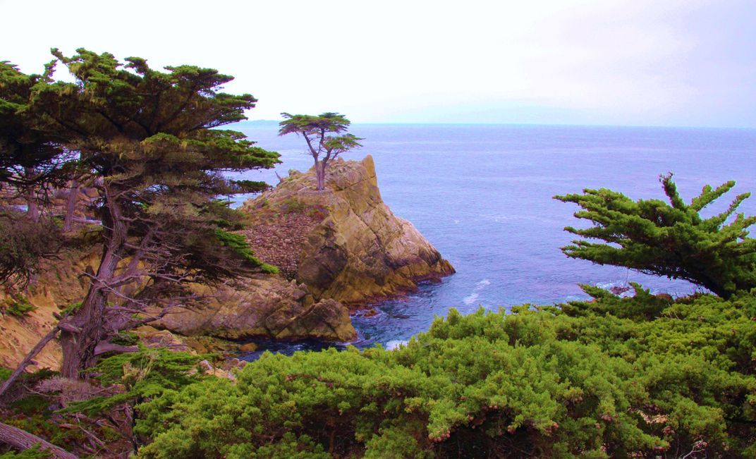 Visiting Monterey Coast | Smithsonian Photo Contest | Smithsonian Magazine