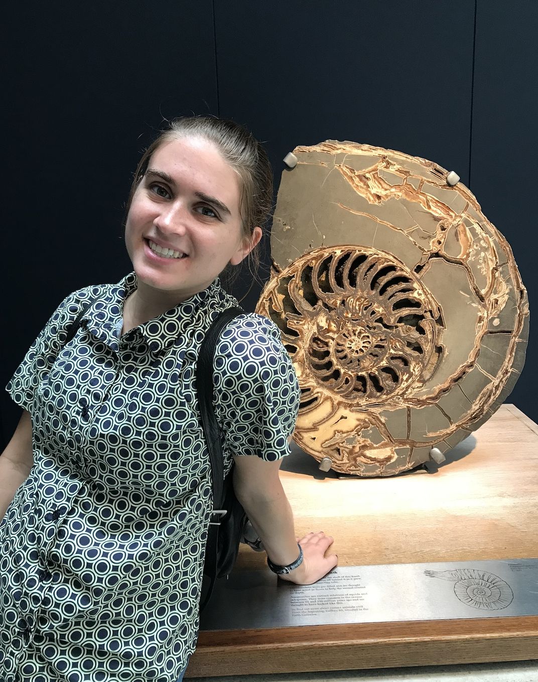 How Did the Ostrich Cross the Ocean? Its Ancestors Flew There ...