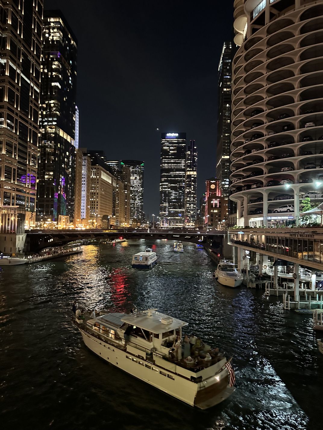 The Chicago River in all its glory | Smithsonian Photo Contest ...