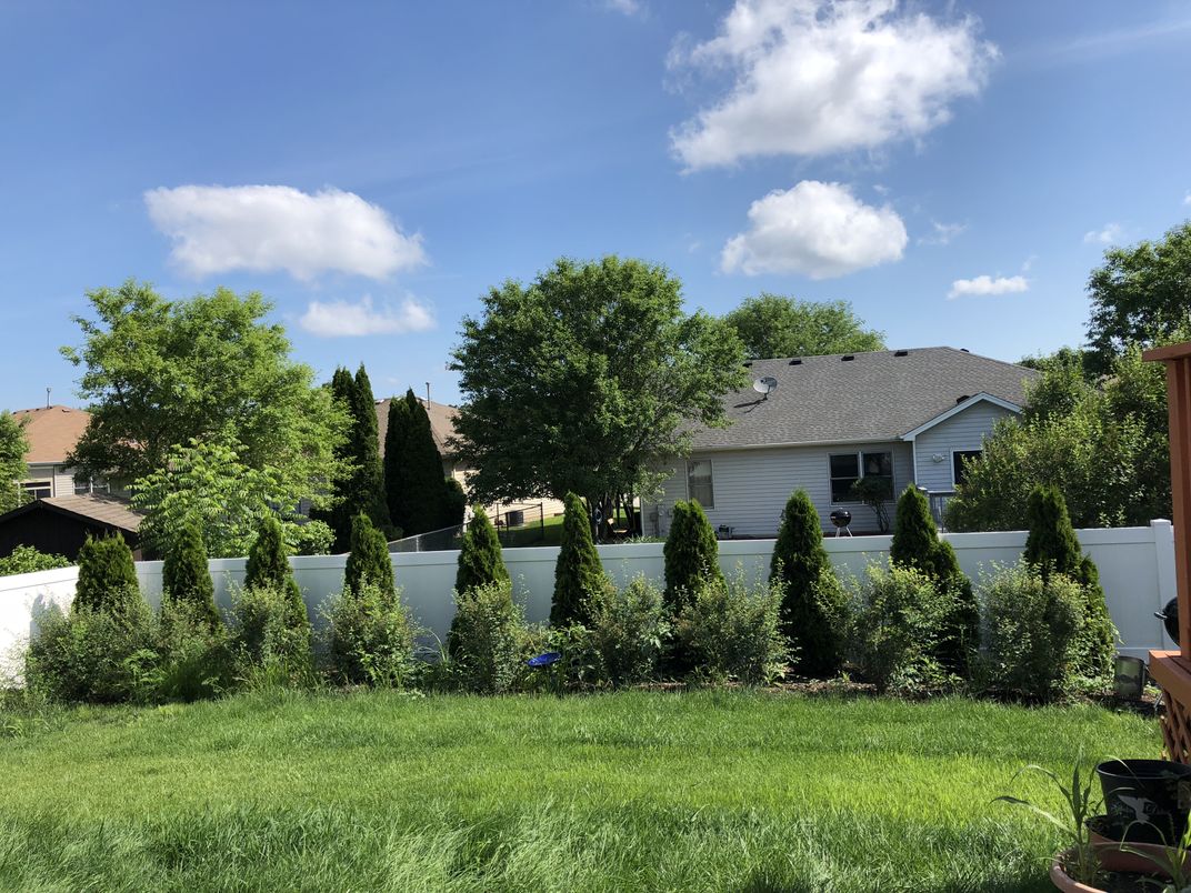 Summer in the suburbs | Smithsonian Photo Contest | Smithsonian Magazine
