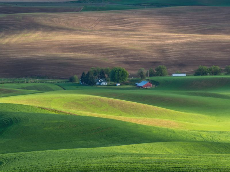 Colors of Palouse | Smithsonian Photo Contest | Smithsonian Magazine