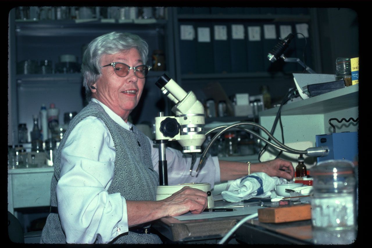 Dr. Marian Pettibone Discovered and Described New Forms of Oceanic Life ...