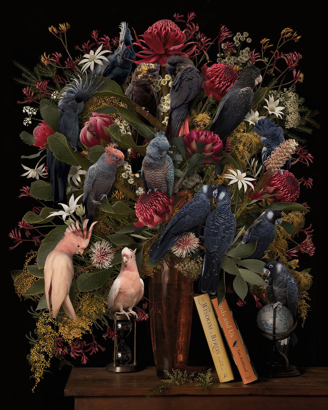 Fading Feathers, a story of threatened species | Smithsonian Photo ...