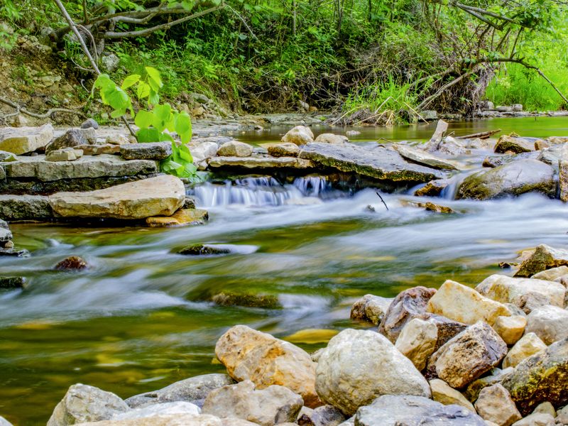 Peaceful Stream | Smithsonian Photo Contest | Smithsonian Magazine