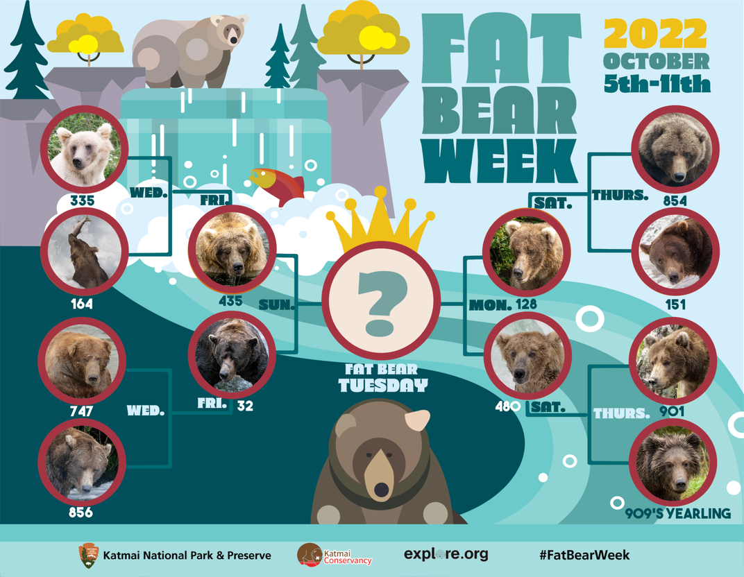 What Is Fat Bear Week 
