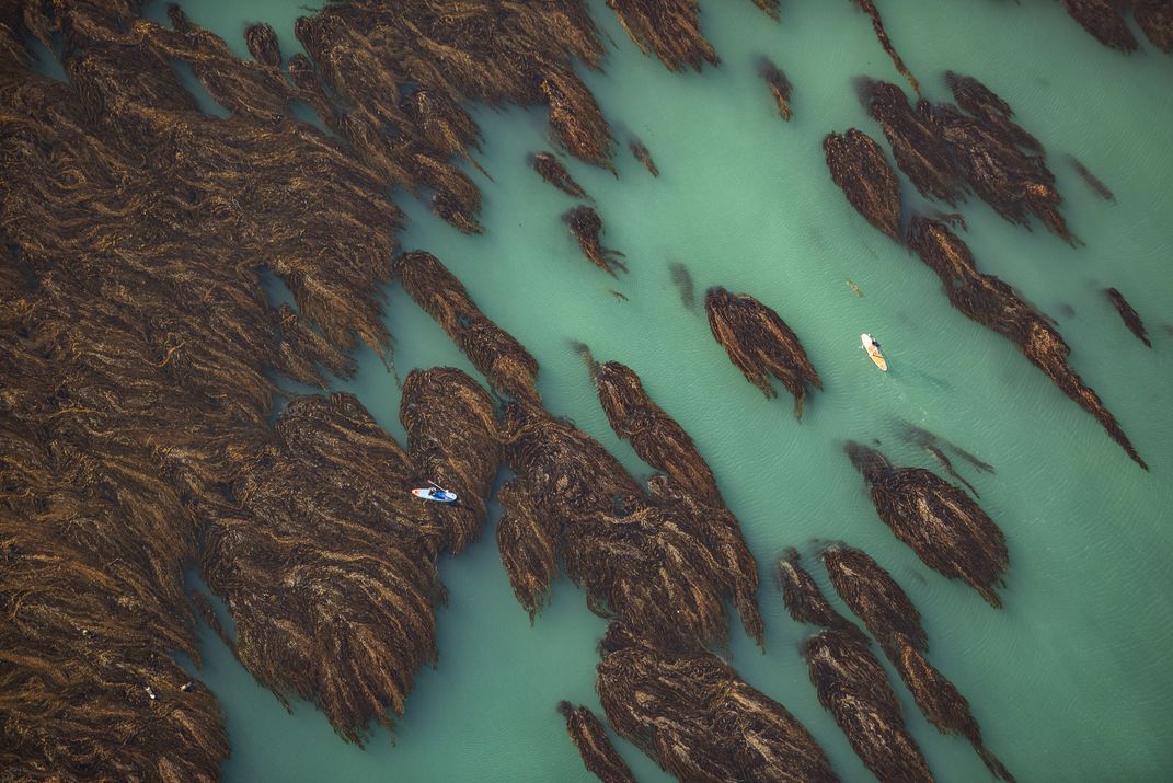 The wonders of the Ocean | Smithsonian Photo Contest | Smithsonian Magazine