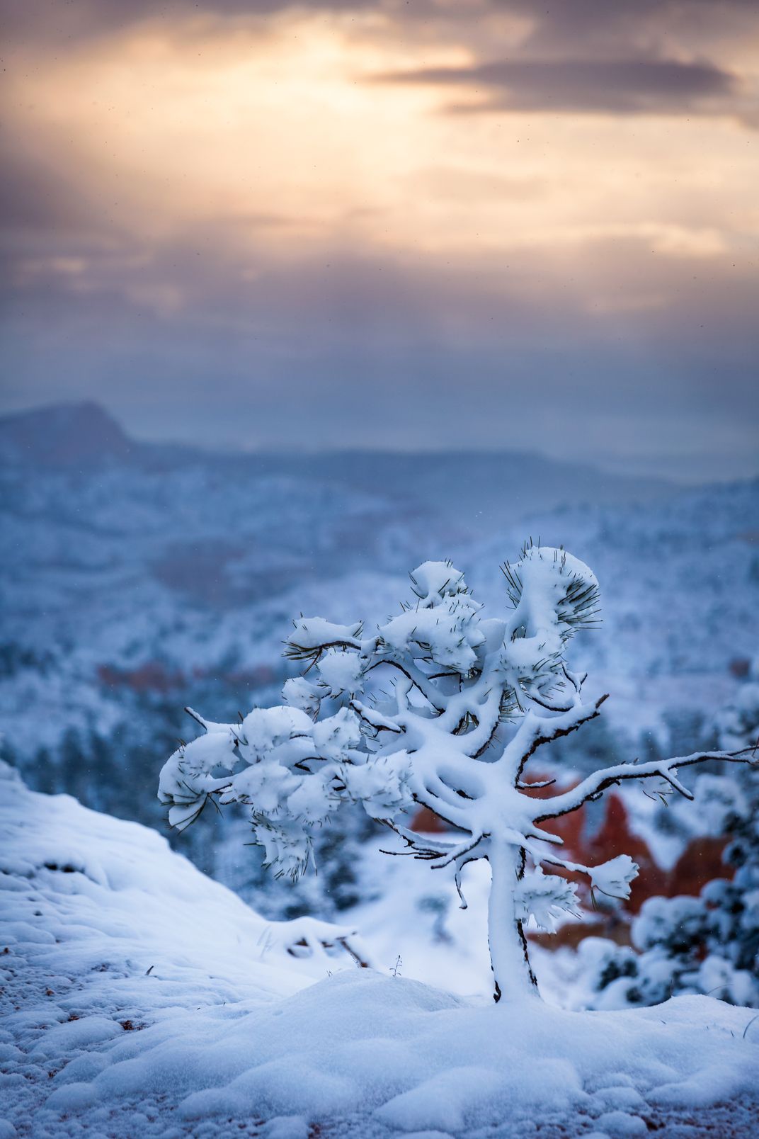 Stand gracefully | Smithsonian Photo Contest | Smithsonian Magazine