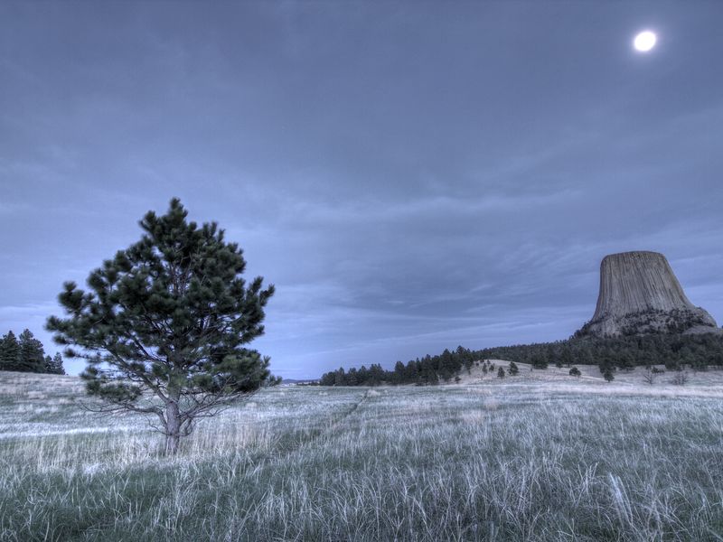 Full Moon ~ Devils Tower | Smithsonian Photo Contest | Smithsonian Magazine