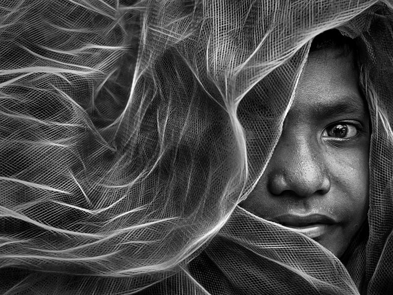 The curious eyes | Smithsonian Photo Contest | Smithsonian Magazine