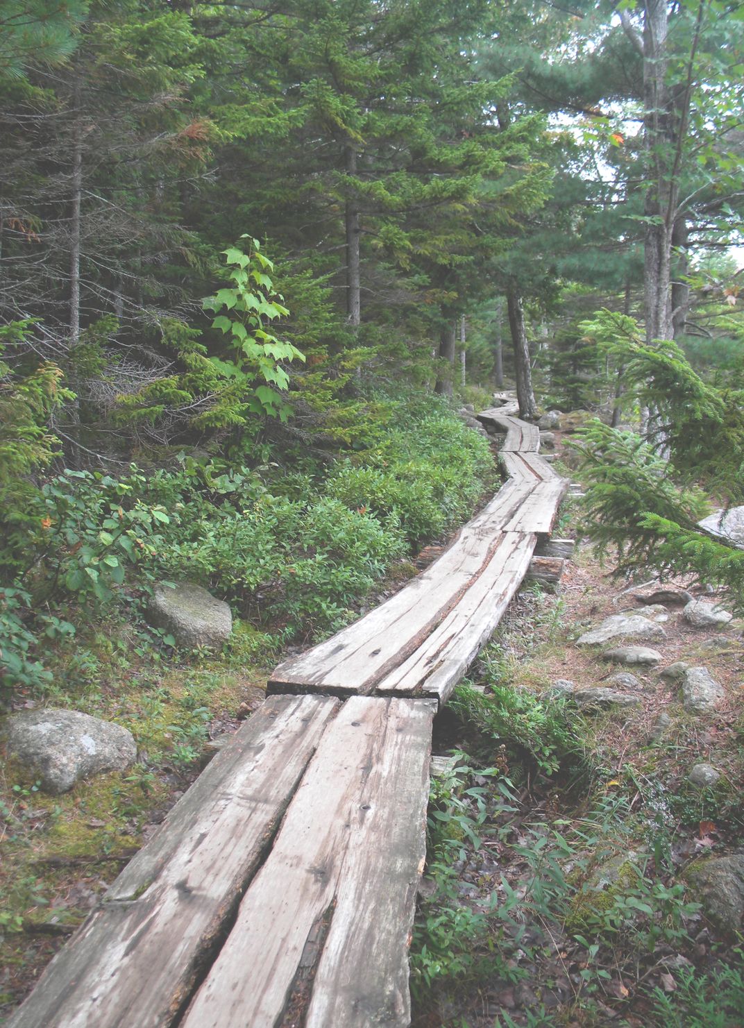 Wooden Walking Path at Jordan Pond in Acadia National Park ...