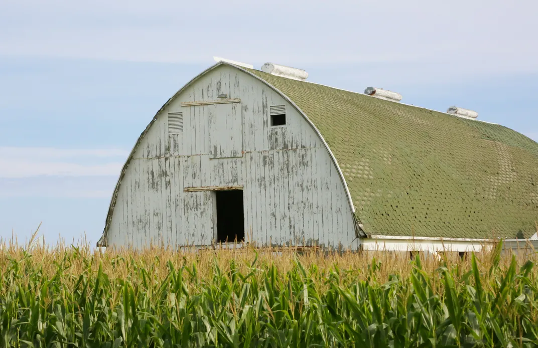 Barn in a Cornfield | Smithsonian Photo Contest | Smithsonian Magazine