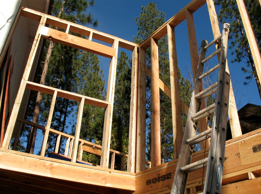 Stick building in a ponderosa forest. | Smithsonian Photo Contest ...