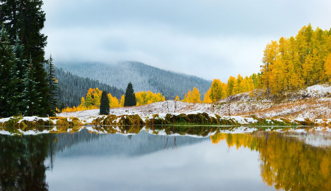 Fall Snow in Colorado | Smithsonian Photo Contest | Smithsonian Magazine