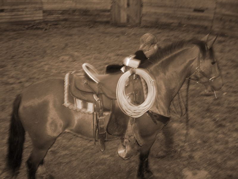 Ranch Hand | Smithsonian Photo Contest | Smithsonian Magazine