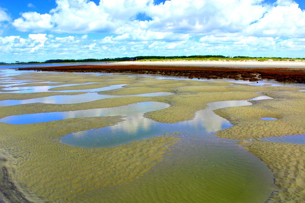 Tide pools at Folly Beach. | Smithsonian Photo Contest | Smithsonian ...