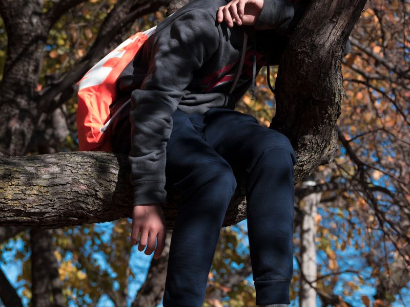 Slumped boy on a tree | Smithsonian Photo Contest | Smithsonian Magazine