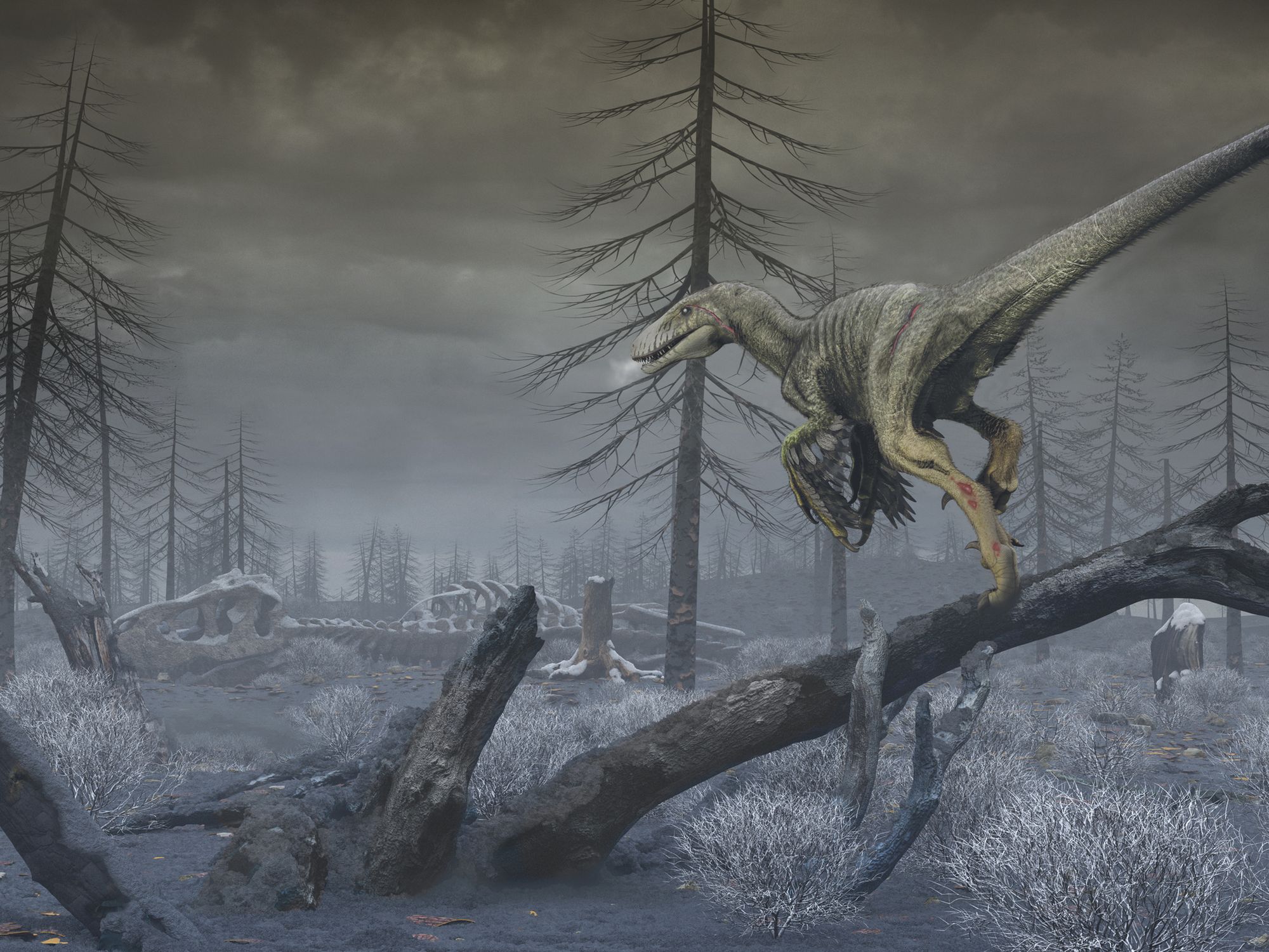 Dust May Have Triggered the Global Winter That Killed the Dinosaurs
