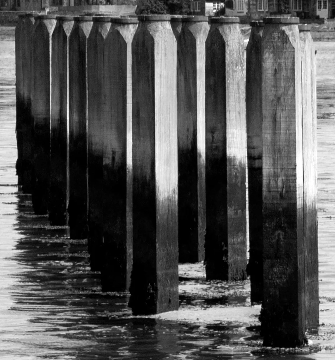 Heavy duty timber columns in sea inlet | Smithsonian Photo Contest ...