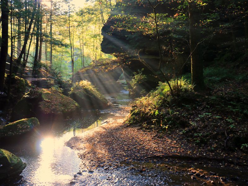 Sphinx Head at Hocking Hills State Park | Smithsonian Photo Contest ...