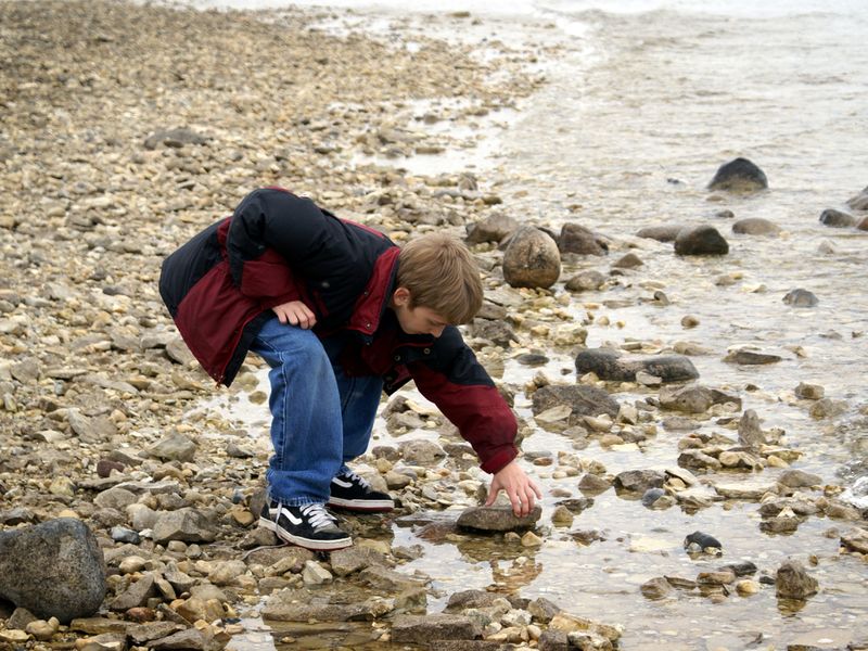 My son looking for "stuff" under rocks at lake | Smithsonian Photo ...