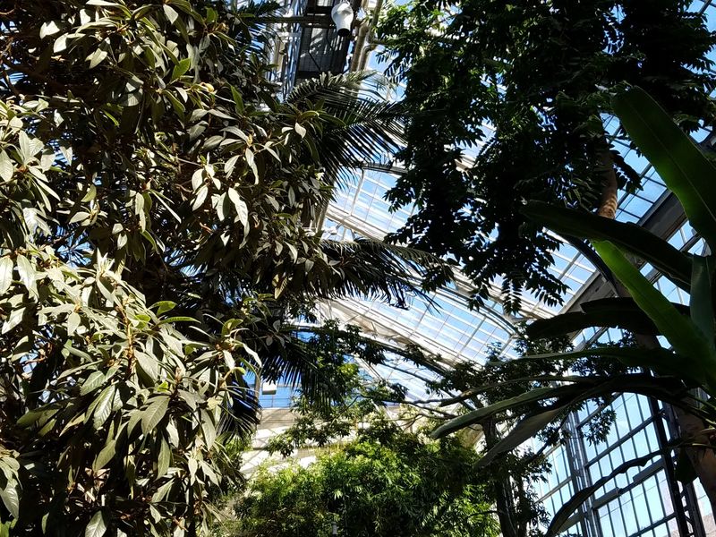 Greenhouse at U.S. Botanic Gardens | Smithsonian Photo Contest ...