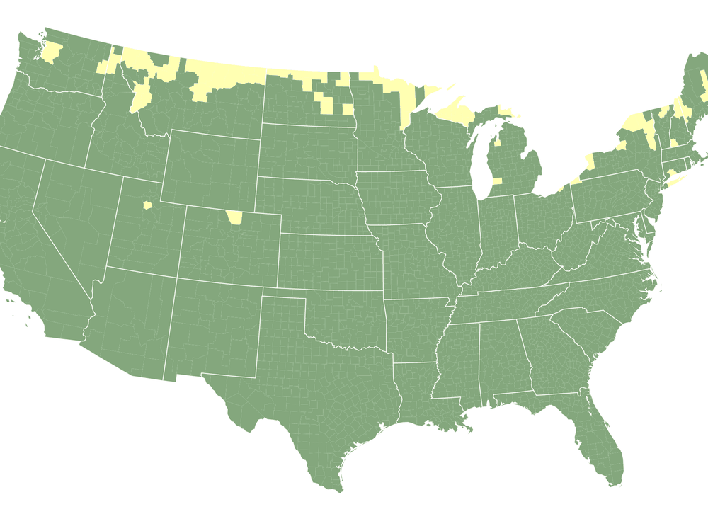This Interactive Map Will Help You Plan the Ultimate Leaf-Peeping Trip
